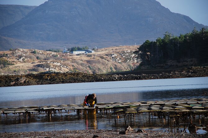 Oyster Farm and Tasting Experience - Booking Details and Traveler Reviews