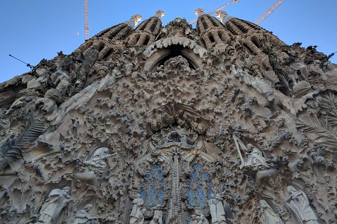 Park Guell and Sagrada Familia, Gaudís Masterpieces Private Tour - Panoramic Views and Timed Admissions
