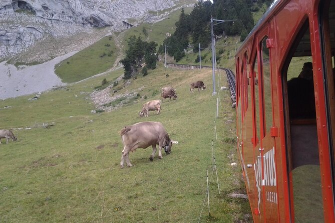 Pilatus Golden Roundtrip: Exclusive Small Group Tour From Luzern - Environmental Commitment of the Tour