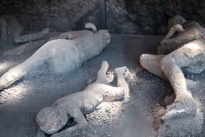 Pompeii and Naples Day Trip From Rome by High Speed Train - Travel Logistics and Inclusions