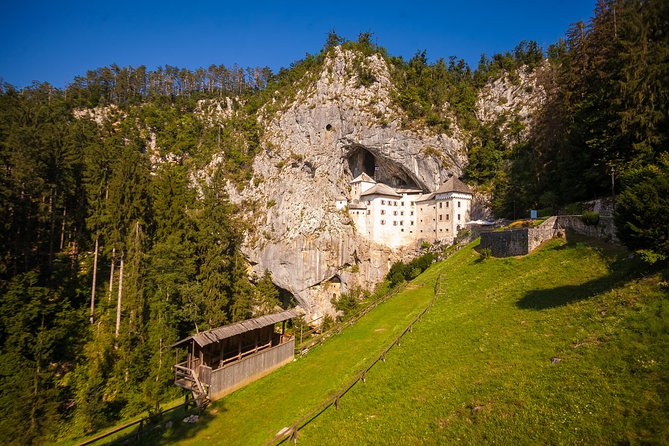 Postojna Cave and Castle Small-Group Day Trip From Ljubljana - Tour Experience and Feedback