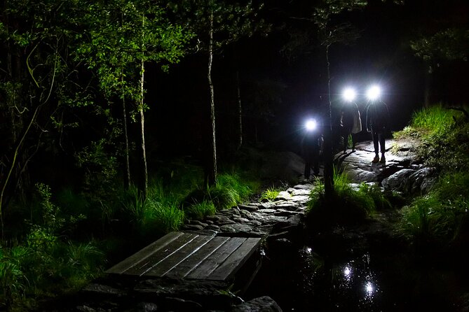 Preikestolen Sunrise Hike And Breakfast Buffet - Exploring the Preikestolen Trail