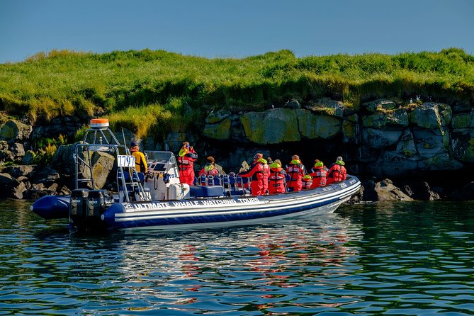 Premium Puffin & Bird Watching Tour Review - Customer Feedback