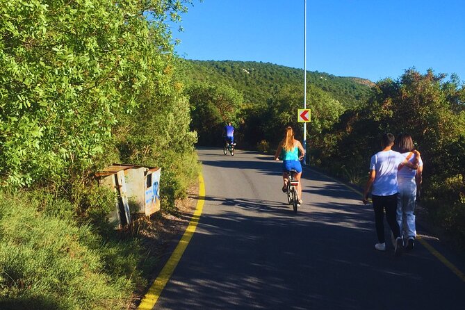 Princes Islands E-bike Tour - Insights From Customer Reviews