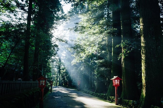 Private 1 Day Tour to Mt Fuji and Hakone: Onsen, Arts and Nature - Unique Features and Highlights