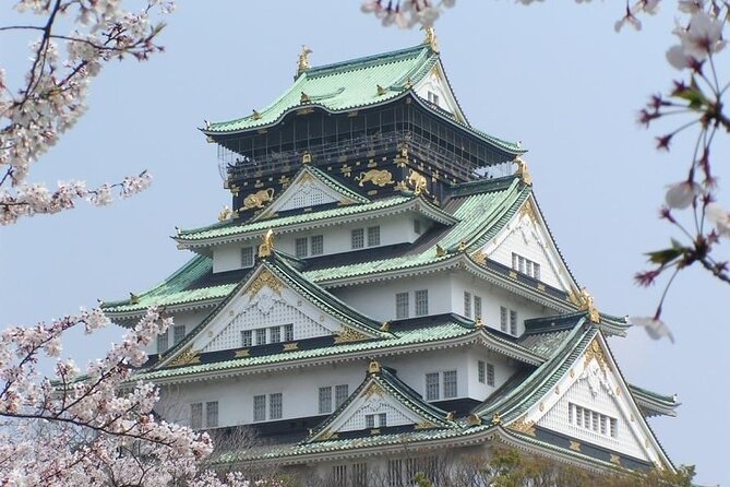 PRIVATE 6hr, Food Tour From Osaka Castle, Kuromon, Dotonbori. - Reasons to Book This Tour