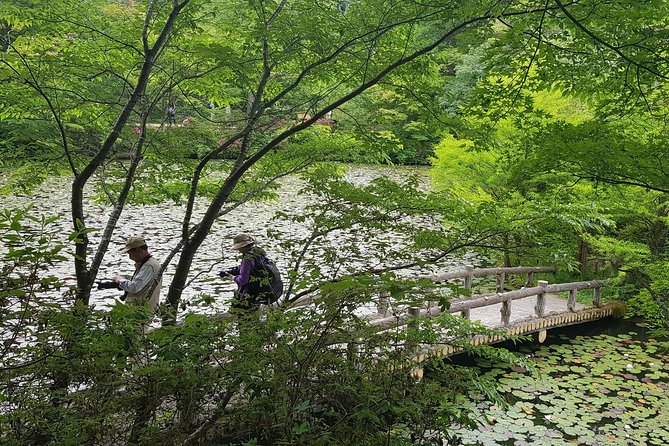 Private Car Day Trip to the Kobe Mountains, Gardens and Hot Springs From Osaka - Discovering Kobe Botanical Gardens