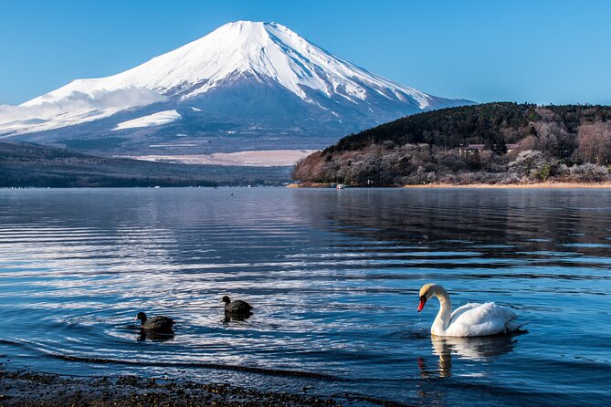 Private Car for Mt. Fuji 5th Station and More (Customizable) - Duration and Timing Considerations