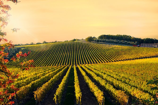 Private Chianti Classico Tour With Wine and Food Tasting in a Historic Estate - Exploring the Tuscan Countryside