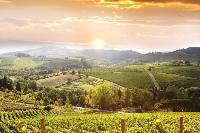 Private Chianti Wine Tour Leaving From Florence - Exploring Greve in Chianti