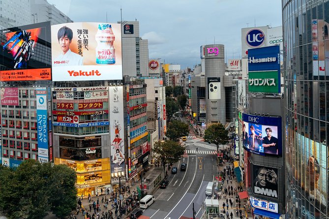 Private City Kickstart Tour: Tokyo - Customer Reviews