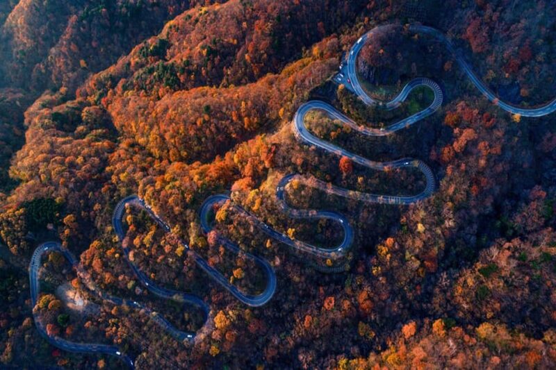 Private Customizable Nikko Full-Day Tour With English Driver - Important Information and Recommendations