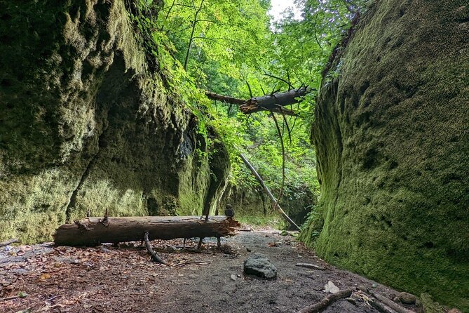 Private Day Trip of Lake Shikotsu and Moss Canyon - Refreshments and Lunch