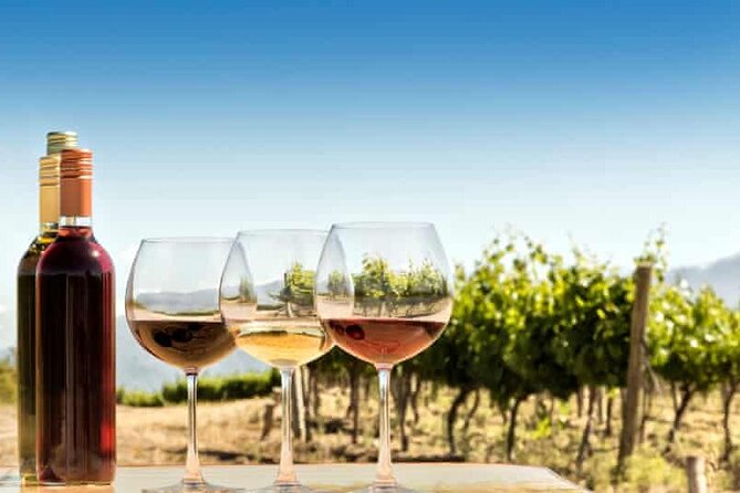 Private Day Trip to Kakheti Wine Region Including Wine Tasting - Wine Tasting Experience