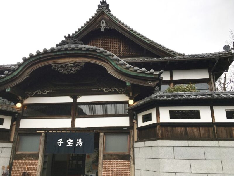 Private Edo-Tokyo Open Air Architectural Museum Tour - Shitamachi Ambiance