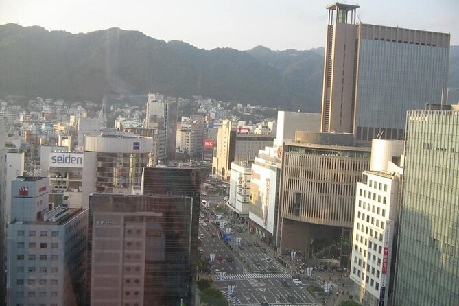 Private Full-Day Guided Tour in the City of Kobe - Navigating Kobes Accessibility