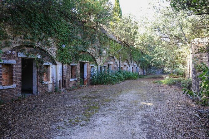 Private Full-Day Okunoshima and Hiroshima Sake Breweries Tour - Reviews