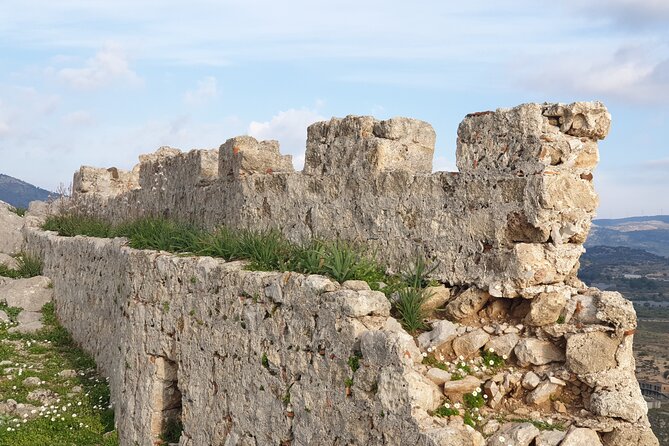 Private Full Day Rhodes Island Tour With Wine Tasting Experience - Comfortable Transportation and Convenience