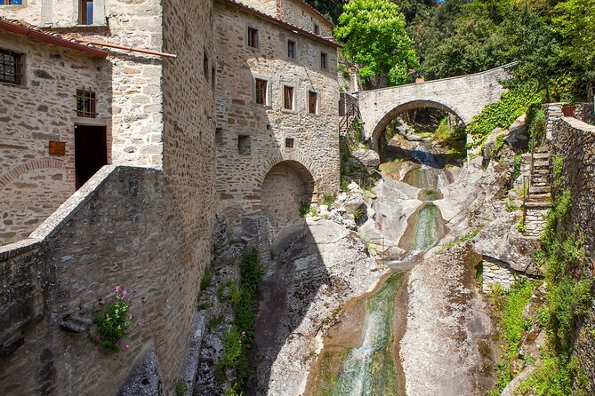 Private Full-Day Tour of Assisi and Cortona From Florence - Customer Reviews and Feedback