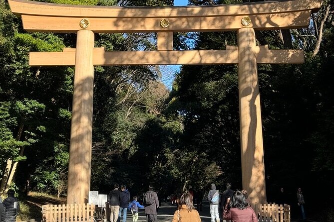 Private Guided 1/2-Day Walking Subway Tour in Tokyo (English) - Inclusions and Pricing