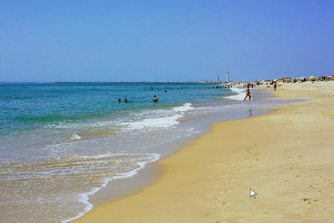 Private Half-Day Boat Tour in Ria Formosa From Faro - Cancellation Policy and Payment Options