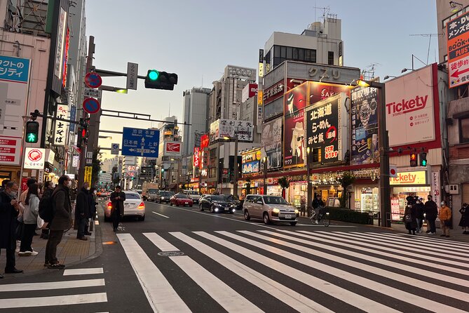 Private Half-Day Tour Colorful and Busy Street in Central Tokyo - Exploring the Vibrant Streets of Central Tokyo