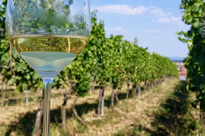 Private Half Day Wine Tasting Tour: Road of the Doges - Veneto Winemaking History