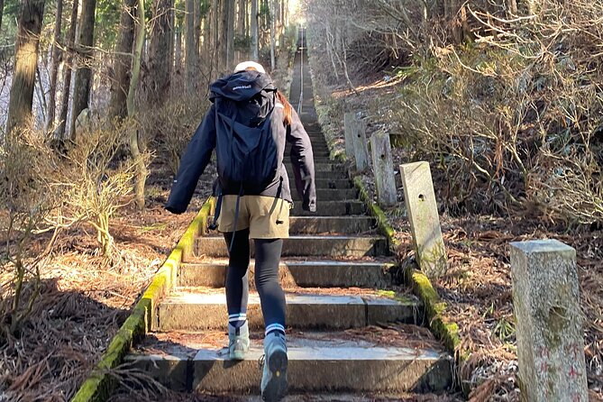 Private Hiking Tour to View Mt. Fuji - What to Expect