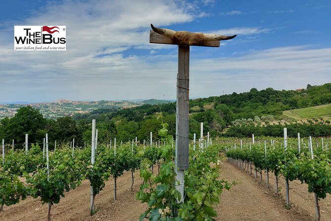 Private Irpinia Wine Tour From NAPLES With Sommelier - Pricing and Reviews