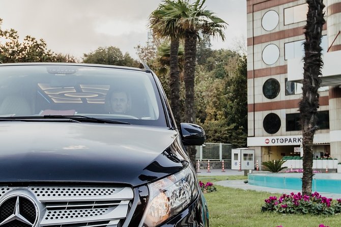 Private Istanbul Airport Transfer to Blue Mosque Sultan Ahmet - Personalized Meet-and-Greet