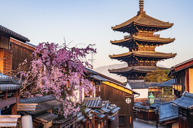Private Kyoto Customizable Day Tour With English Guide - Benefits of a Private Tour