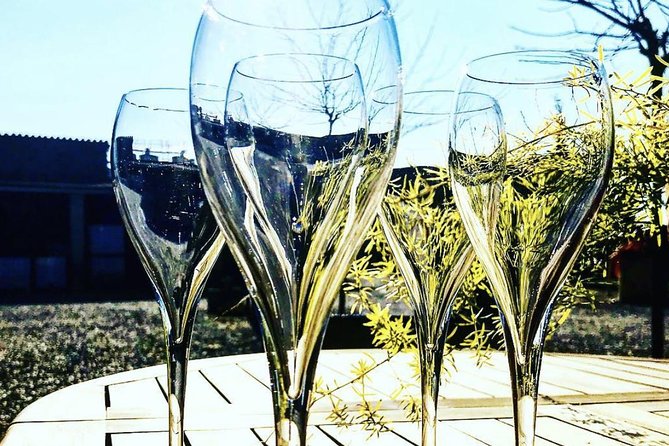 Private Montserrat Tour, Organic Winery & Authentic Local Lunch - What to Expect From the Wine Tasting Experience