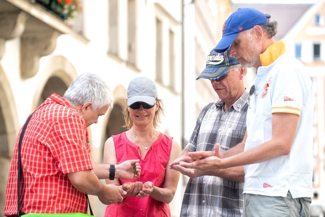 Private Munich Old Town Walking Tour - Group Size and Accessibility