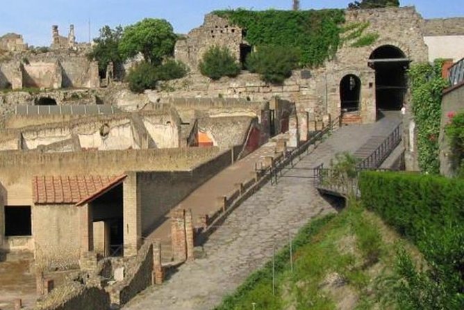 Private Pompeii Day Trip From Rome - Additional Information