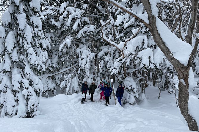 Private Snow Shoe Tour in Shiretoko National Park - Snowshoeing in Shiretoko National Park