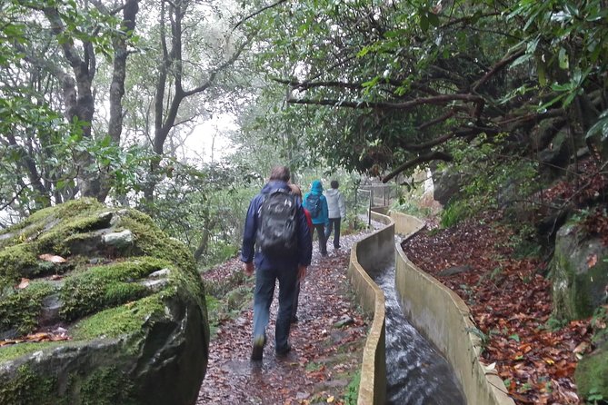 Private Sunrise Guided Hike on Pico Do Areeiro or Other Custom - Customer Testimonials and Experiences