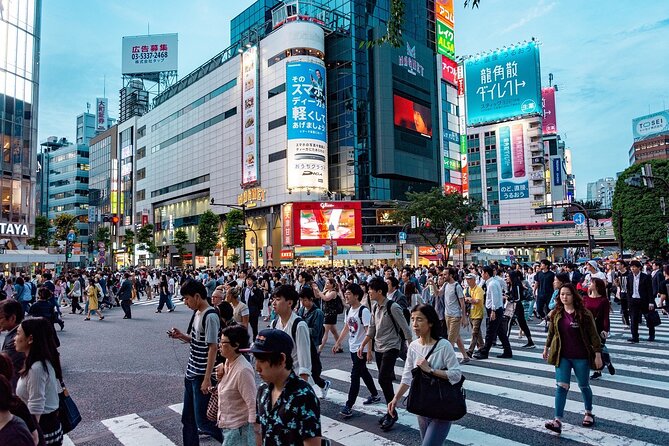 Private Tokyo Tour - up to 9 Travelers - Optional Attractions