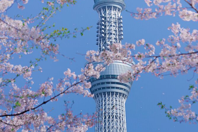 Private Tour by Car in Tokyo - Customer Feedback