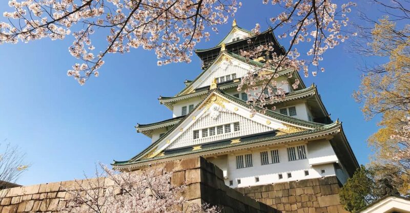 Private Tour: Discover the Best of Osaka With a Local Guide - Visiting Namba Yasaka Shrine