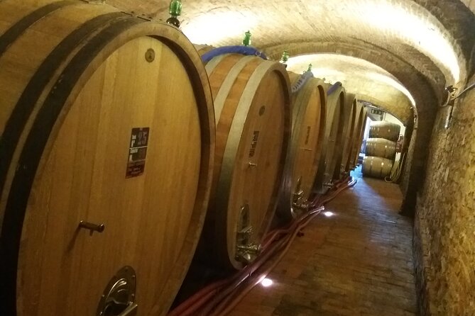 Private Tour in San Gimignano and Chianti Day Trip From Florence - Reviews and Feedback Highlights