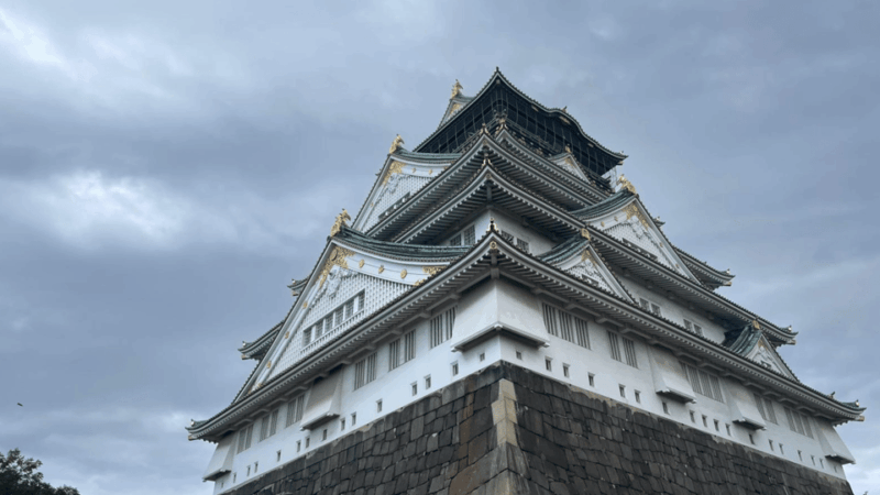 Private Tour of Osaka With A Spanish-Speaking Guide - Restrictions and Prohibited Items