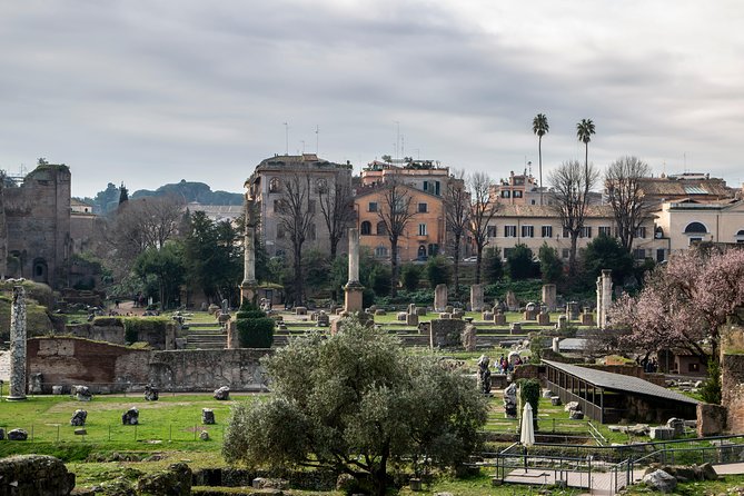 Private Tour of the Colosseum Forums Palatine Hill & Ancient Rome - Whats Included in the Tour Package