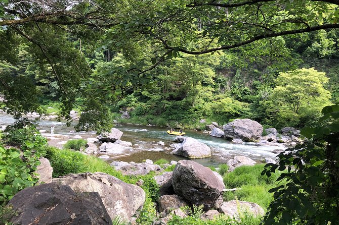 Private Tour: Tokyos Oldest Sake Brewery and Riverside Walk. - Positive Traveler Reviews