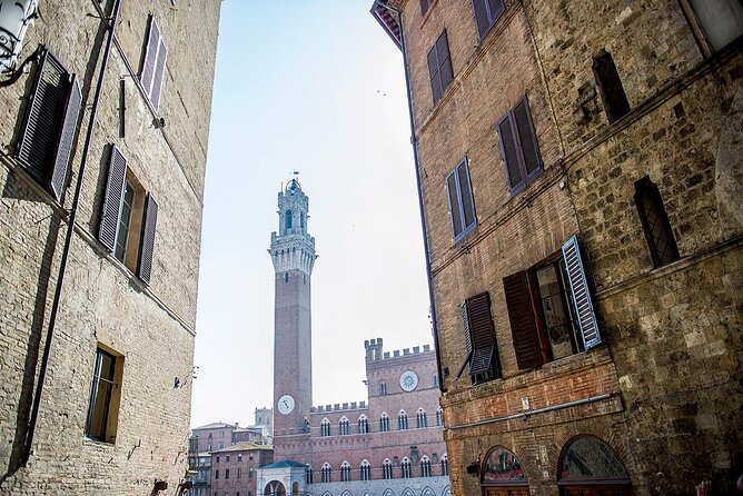 Private Tuscany Tour to Siena and San Gimignano With Winery Lunch - Traveler Recommendations