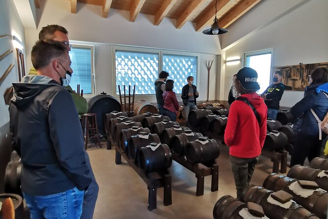 Private Visit to Acetaia With Tasting - Tasting and Culinary Offerings