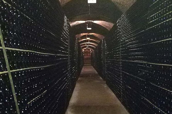 Private Wine & Cava Tasting Tour in Penedés Region With Hotel Pick up - Local Wineries and Their Unique Offerings