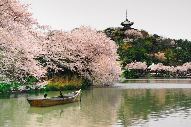 Private Yokohama Family Tours With Local Guides 100% Personalized - Why Choose This Tour