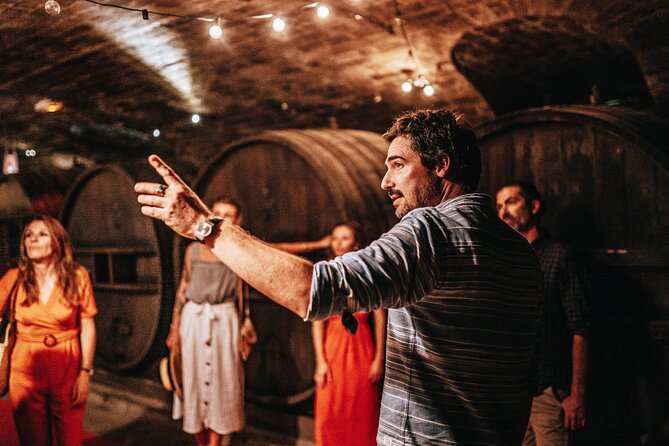 Provence Wine Tour - Small Group Tour From Nice - Diverse Selection of Award-Winning Wines