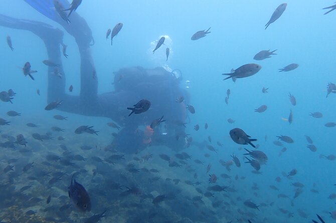 Pula Discover Scuba Diving Package - Customer Feedback and Insights
