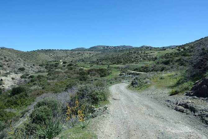 Quad or Buggy Tour From Coral Bay to Lara Bay - Adventure and Excitement